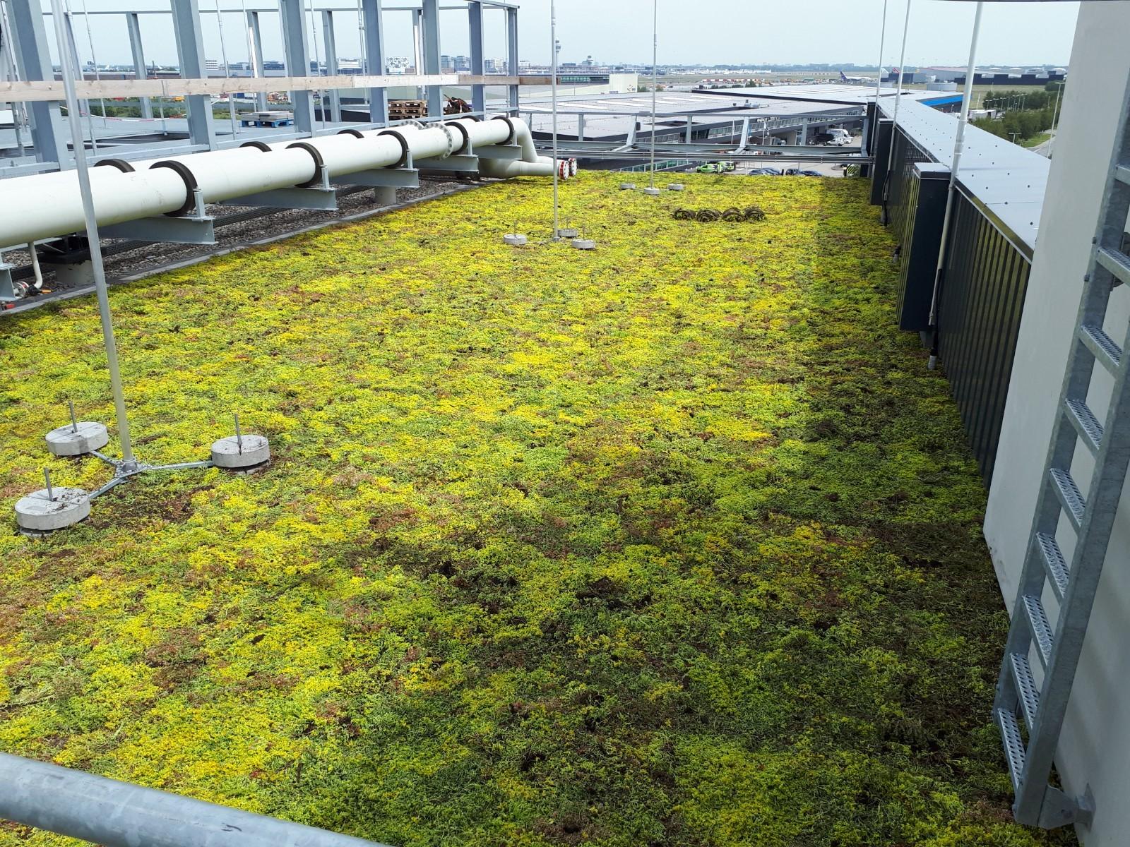 Rhepanol, meer dan 100 jaar bescherming - Rhepanol