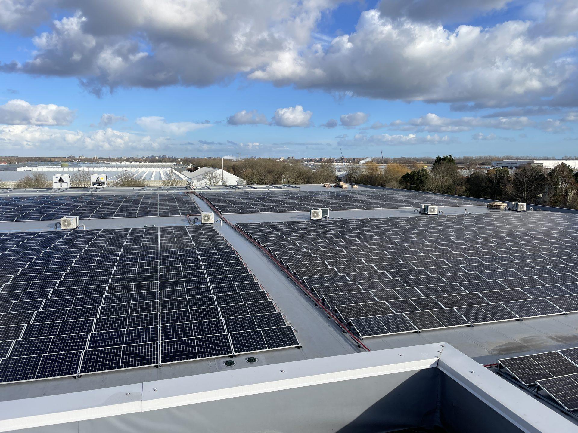 Rhepanol, meer dan 100 jaar bescherming - Rhepanol